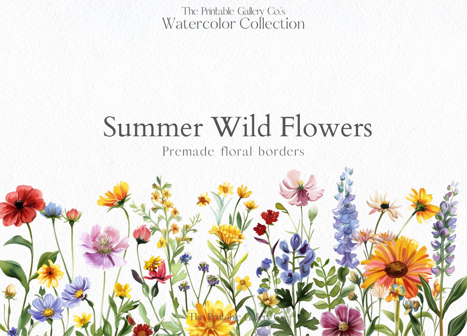 Watercolor Summer Flowers, Watercolors Floral Fields, Premade Borders ...