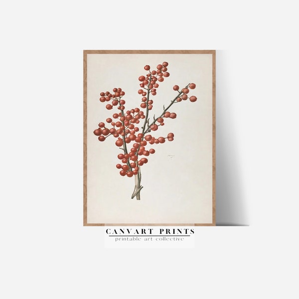 Winter Berry Red - Etsy