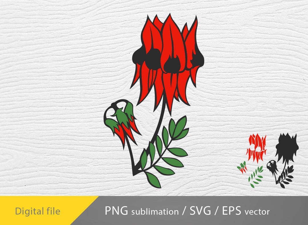 Sturt's Desert Pea SVG, Flower SVG, Australia Svg, Aussie Svg, Cut File ...