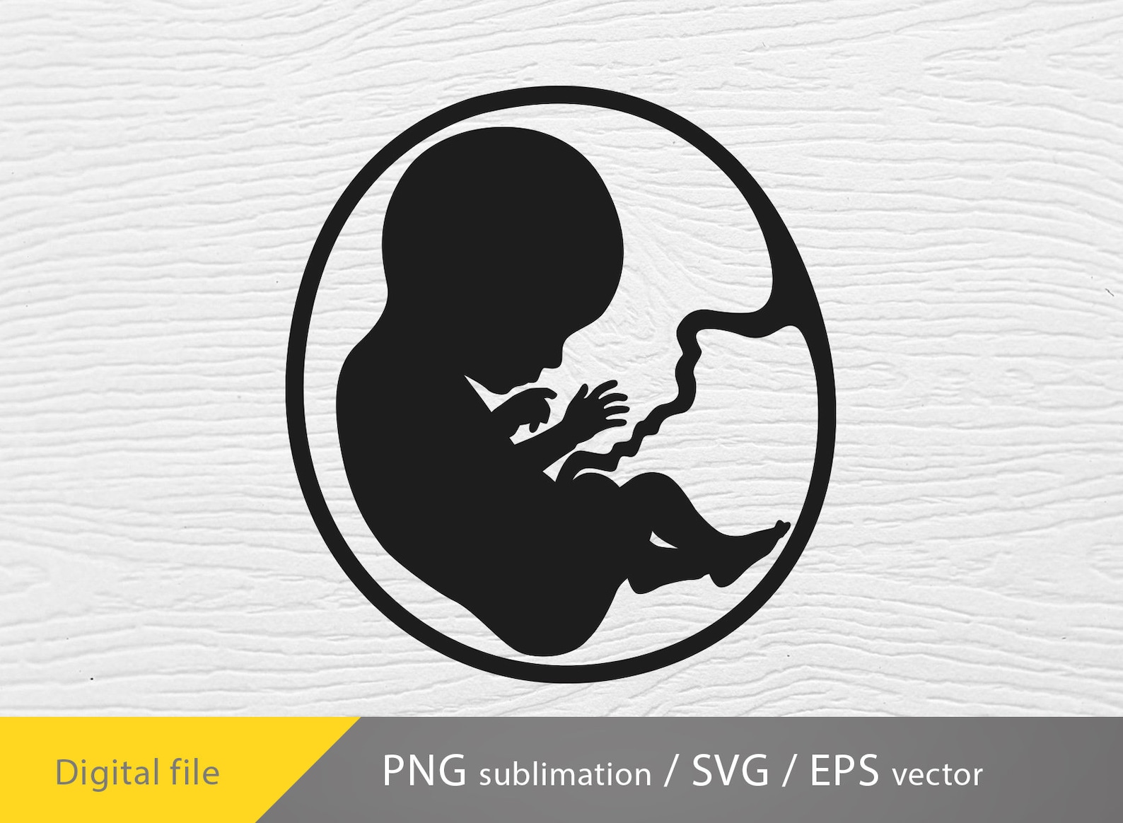Fetus Svg, Fetus Silhouette Svg, Baby Silhouette Svg, Cricut File - Etsy