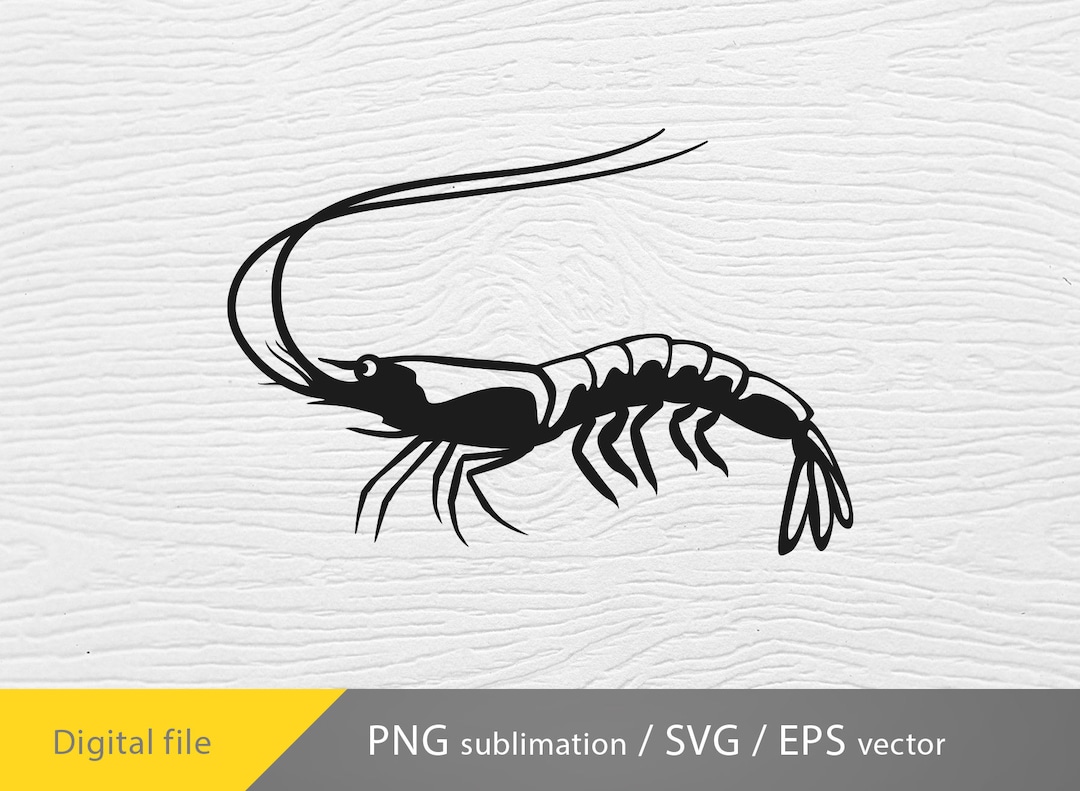 Shrimp Svg, Sea Shrimp Svg, Cricut File, Eps Svg Vector - Etsy