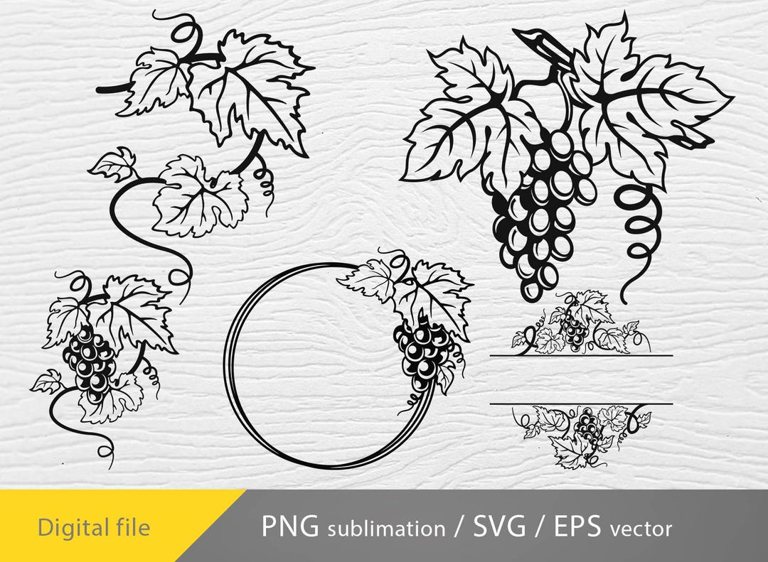 Grape Vine Svg Bundle, Grape Leaves Svg, Vine Leaves Svg, Vine Branch ...