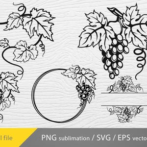 Grape Vine Svg Bundle, Grape Leaves Svg, Vine Leaves Svg, Vine Branch ...