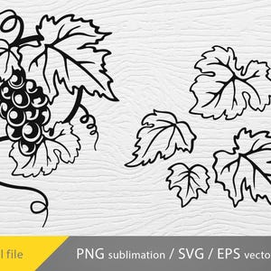 Grape Vine Svg, Grape Leaves Svg, Grape Vine Wall Decor, Vine Leaves ...