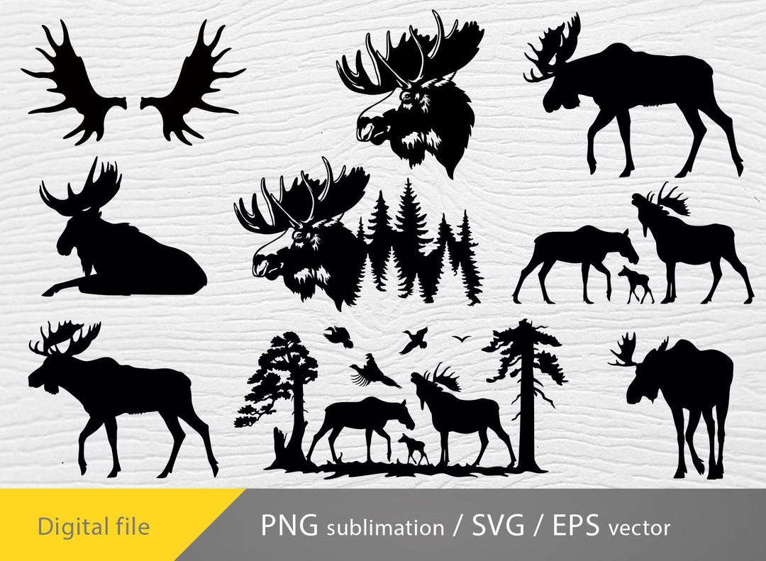 Moose Bundle Svg, Moose Hunting SVG, Moose Silhouette SVG, Moose PNG ...