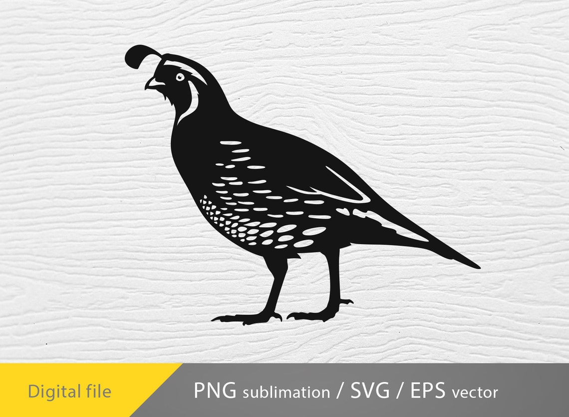 Quail Svg, Quail Bird Silhouette, Quail Png - Etsy
