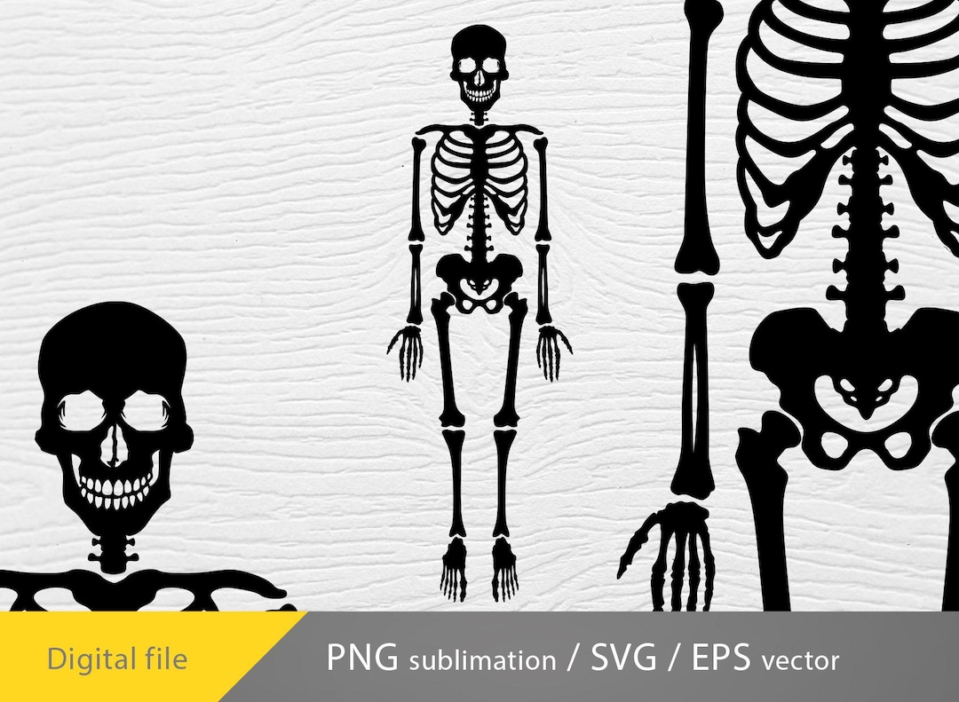 Skeleton Svg, Halloween Skeleton Svg, Cricut File, Skeleton Vector Eps ...
