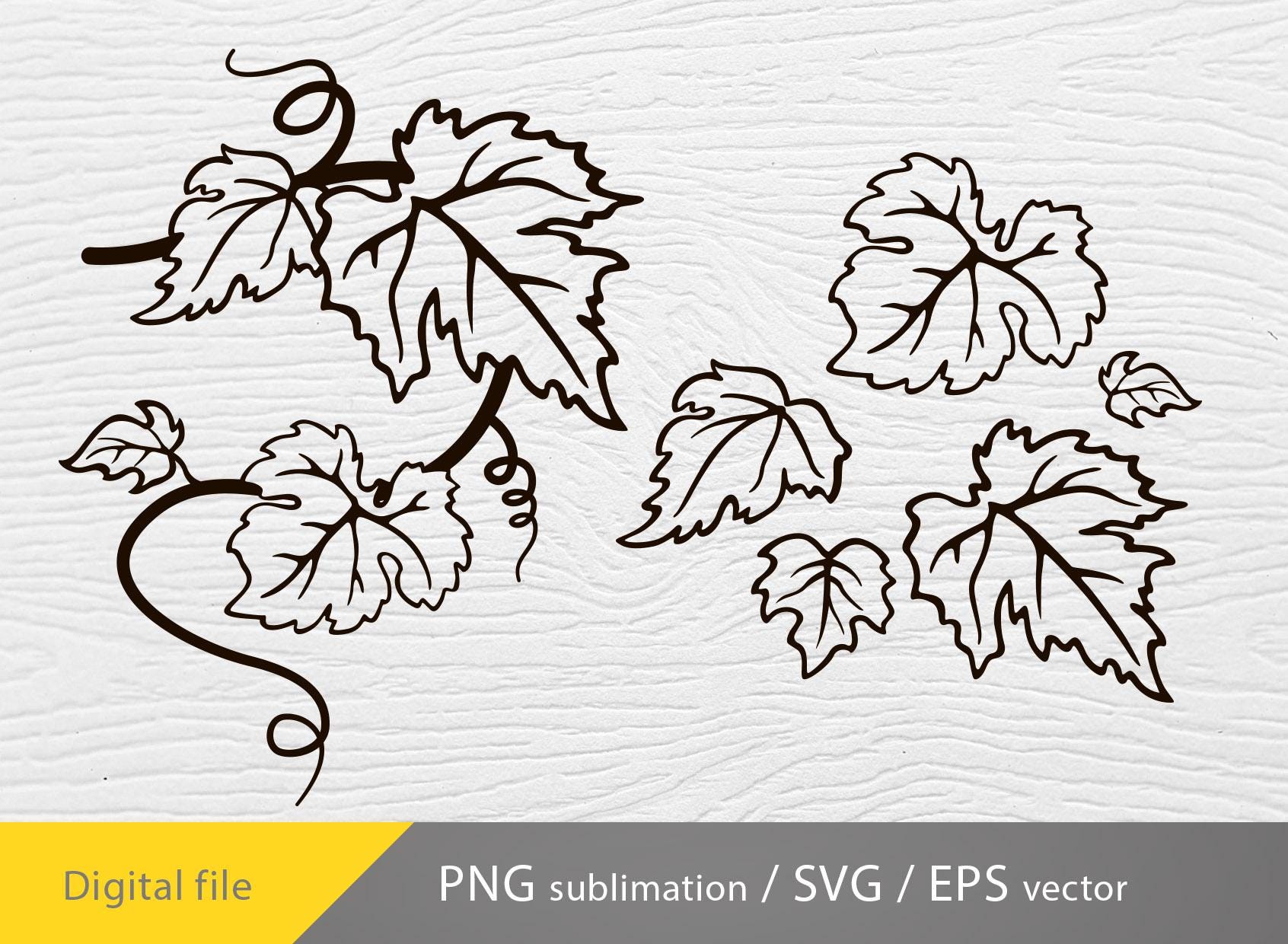 Grape Vine Svg, Grape Leaves Svg, Grape Vine Wall Decor, Vine Leaves ...