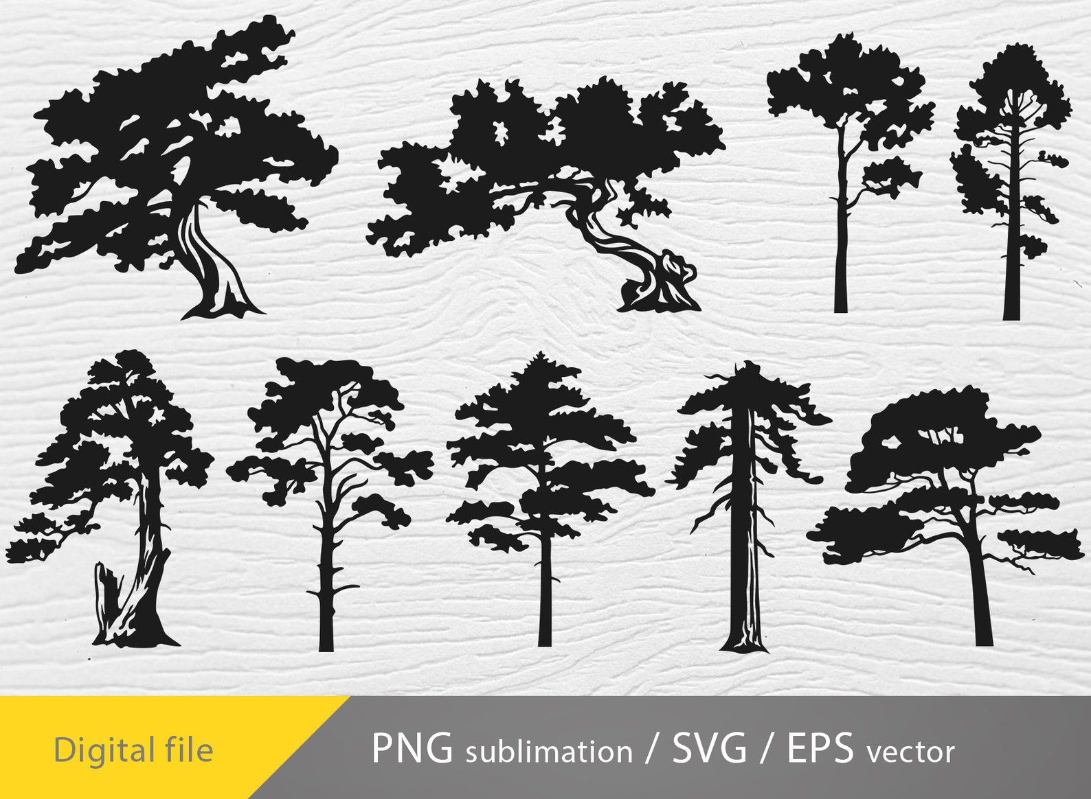 Evergreen Tree Vector, Pine Tree Svg, Pine Tree Silhouette, Pine Tree ...