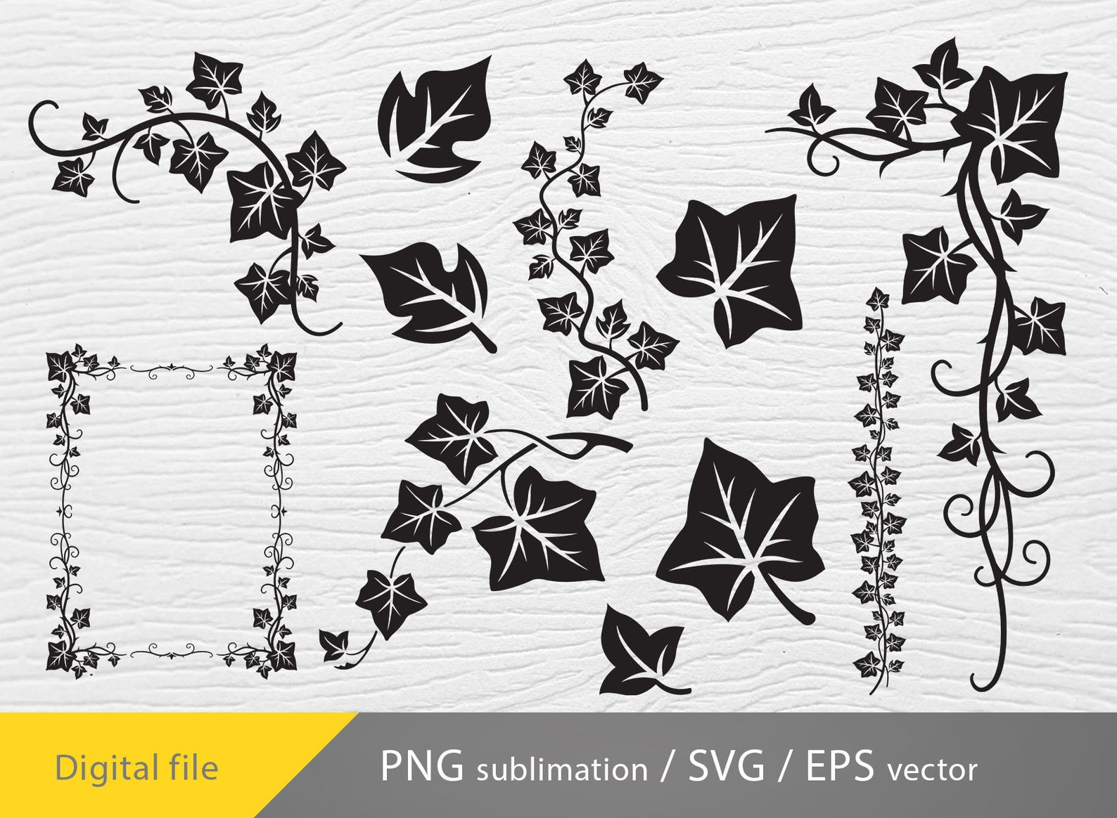 Ivy Leaf Svg, Ivy Svg, Cricut File, Vines Svg, Ivy Leaf Bundle - Etsy