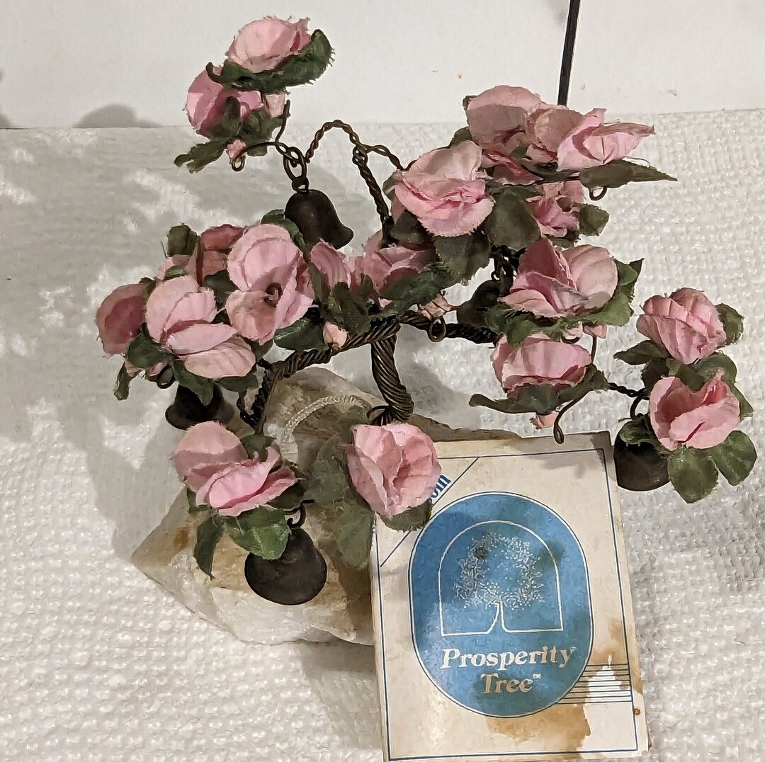 Vintage Bonsai Cherry Blossom Etsy