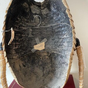 Vintage Armadillo Shell Mask With Stone and Shell Decoration - Etsy