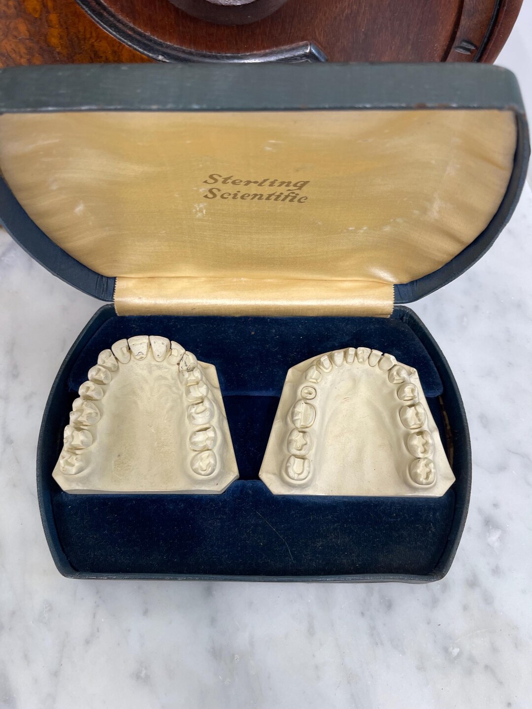 Vintage Dental Teeth Molds in a Case - Etsy