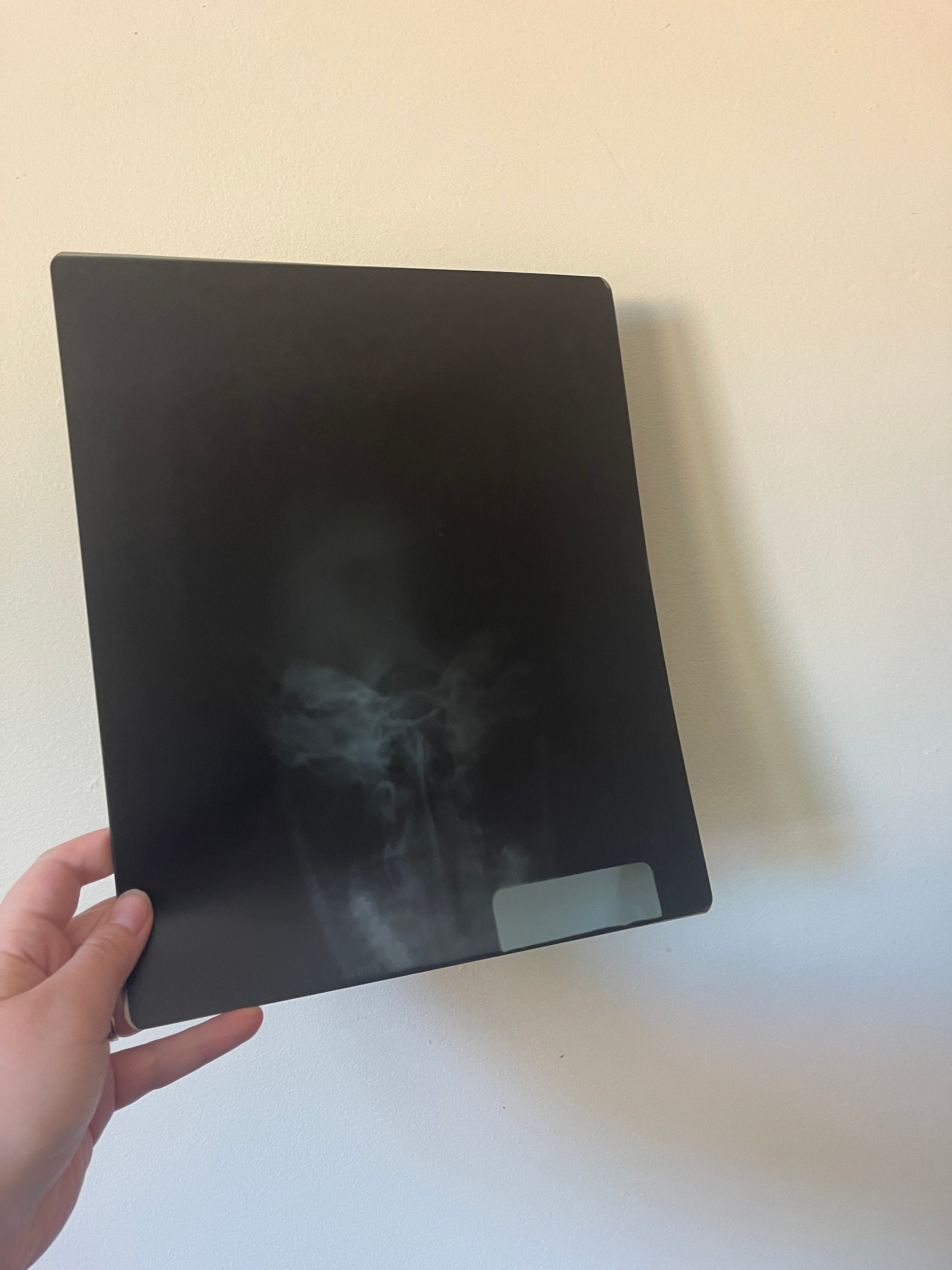 Vintage X Ray of the Human Skull Front View - Etsy