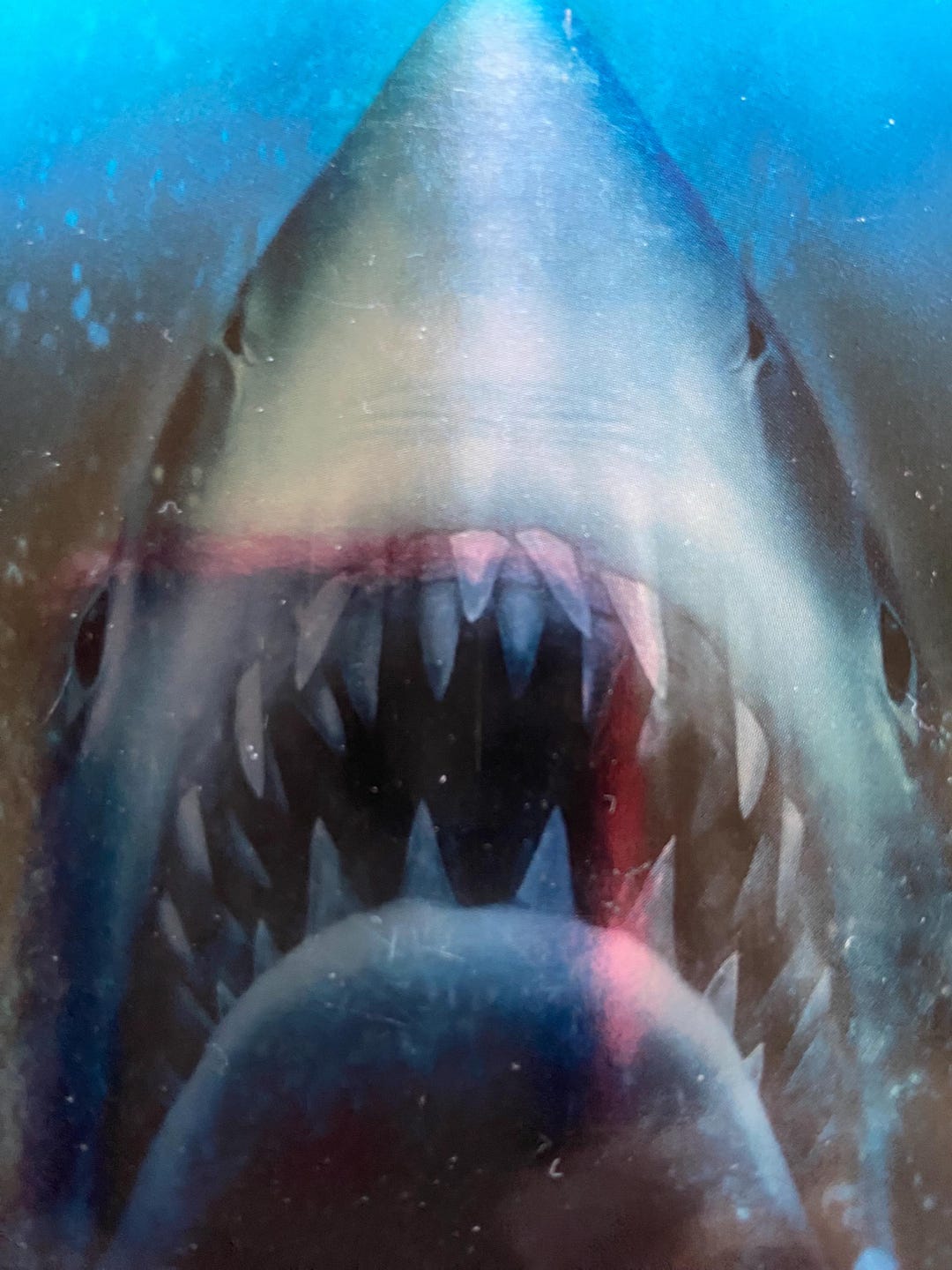 JAWS the Collector’s Edition - Etsy