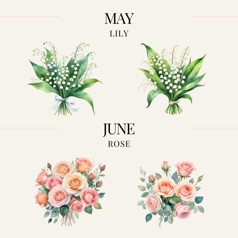 48 Watercolour Birth Month Flowers Clipart, Birthday Clipart, Month ...