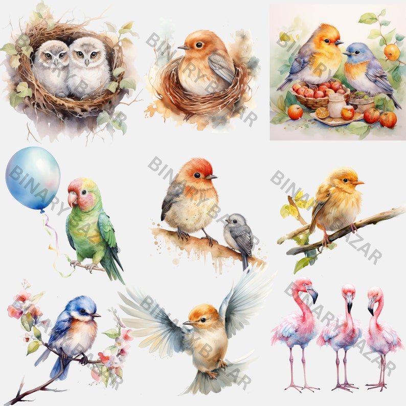 Cute Birds Clipart PNG Bundle 34 Watercolor Colorful Birds Clip Art ...