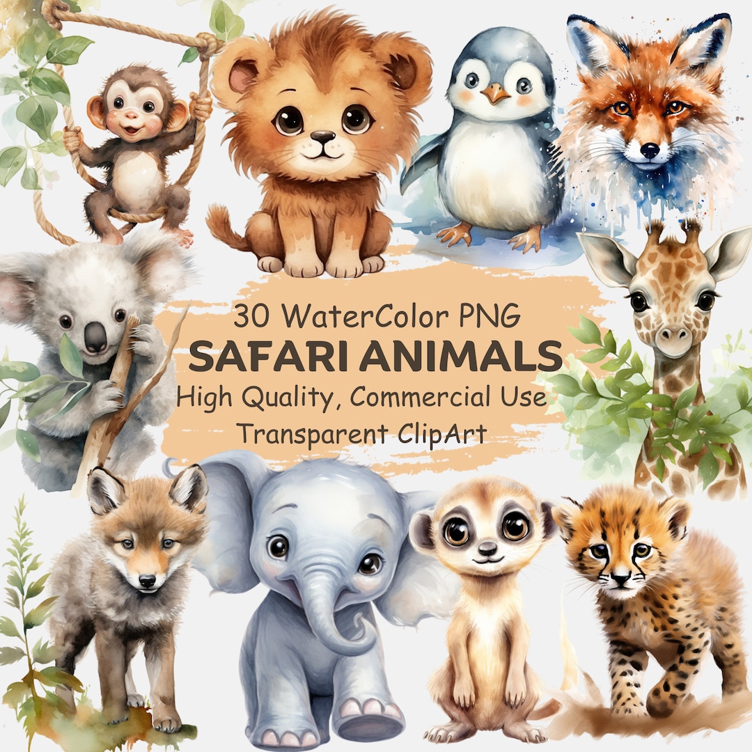 Cute Safari Animals Clipart PNG Bundle - 35 Watercolor Jungle Woodland ...