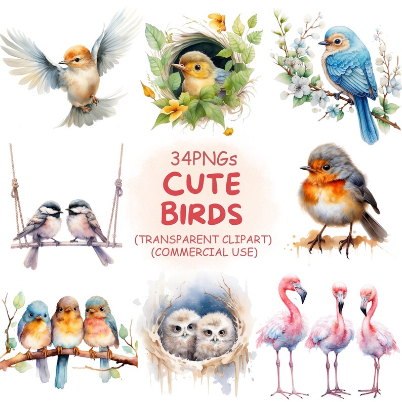 Cute Birds Clipart PNG Bundle 34 Watercolor Colorful Birds Clip Art ...