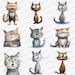 42 Cute and Funny Cats Clipart PNG Bundle- Watercolor Quirky Animals ...