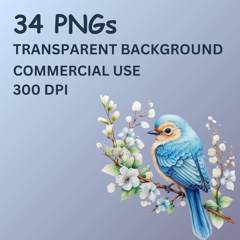 Cute Birds Clipart PNG Bundle 34 Watercolor Colorful Birds Clip Art ...