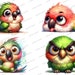 Cute and Funny Conure Clipart PNG & JPG Bundle 33 Watercolor Adorable ...