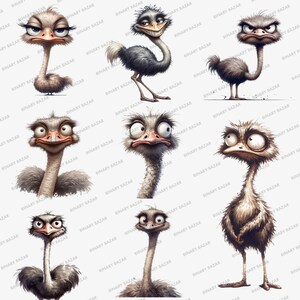 Watercolor Ostrich Clipart Bundle 27 Funny Cartoon Png Jpg Digital