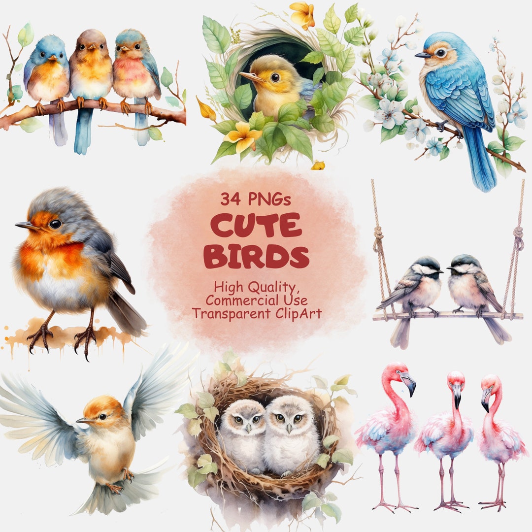Cute Birds Clipart PNG Bundle 34 Watercolor Colorful Birds - Etsy