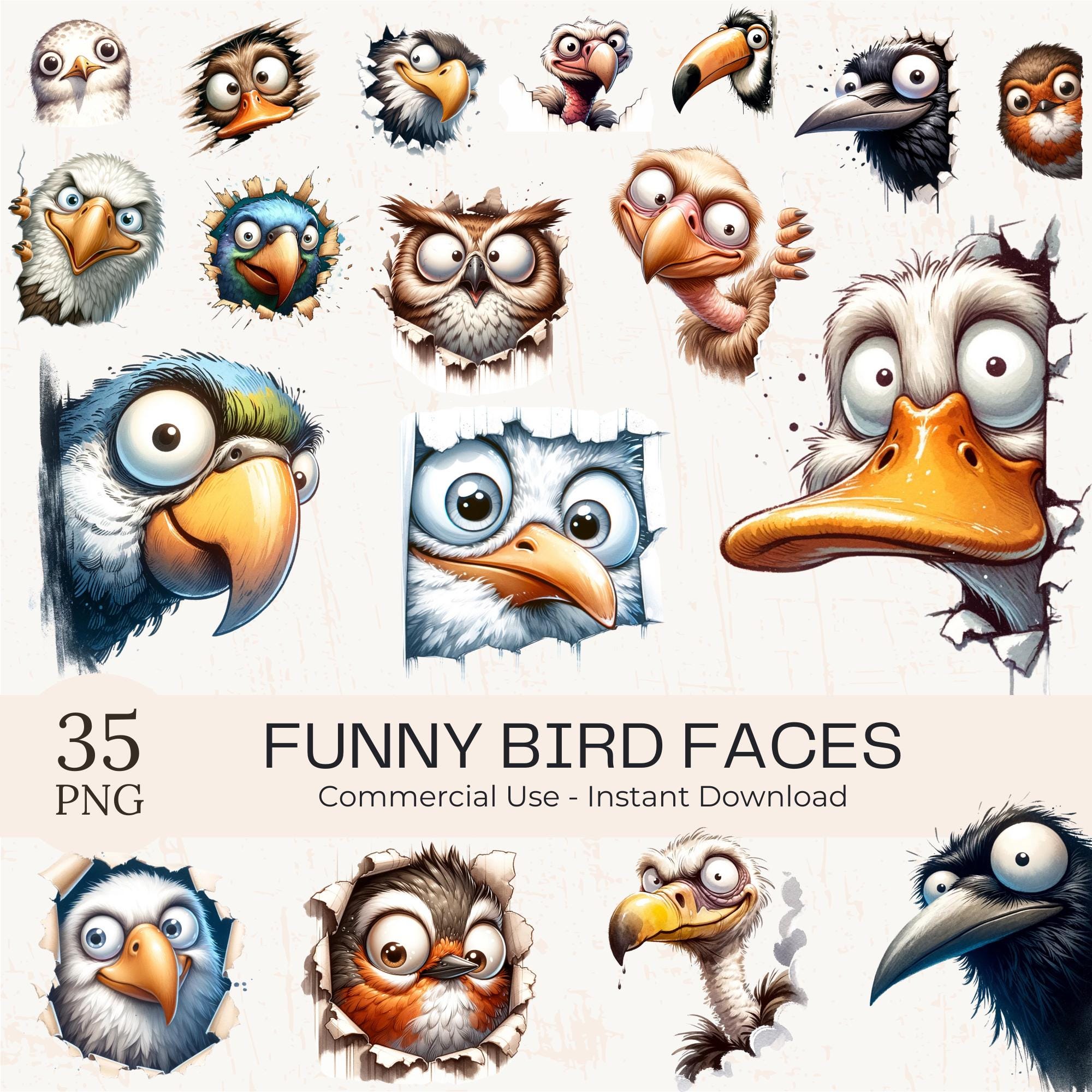 35 Funny Peeking Birds Clipart: Watercolor Quirky Animal Faces PNG ...
