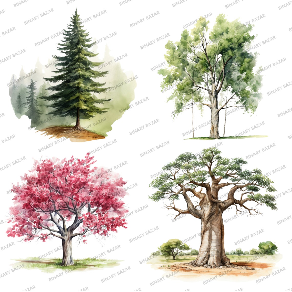 Watercolor Trees Clipart Bundle: 50 PNG+JPG Botanical Illustrations ...