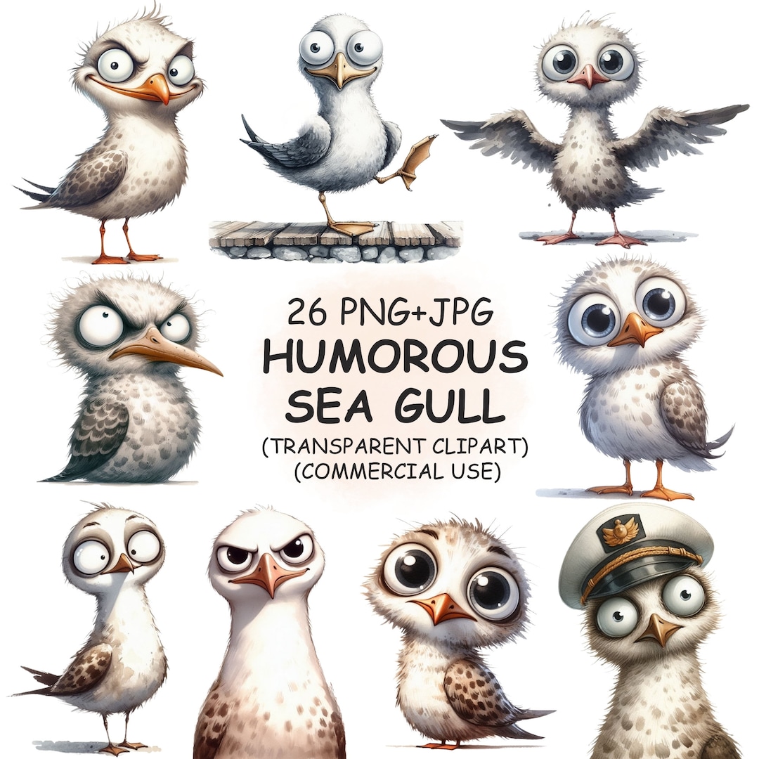 Funny and Hilarious Bird Seagull Clipart PNG & JPG Bundle - 26 ...