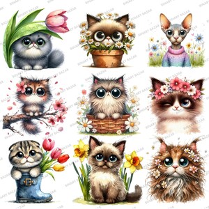 Cute Spring Cats Clipart PNG Bundle – Watercolor Quirky Floral Cats ...