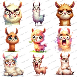Funny and Cute Llama & Alpaca Clipart PNG Bundle- 21 Watercolor Quirky ...