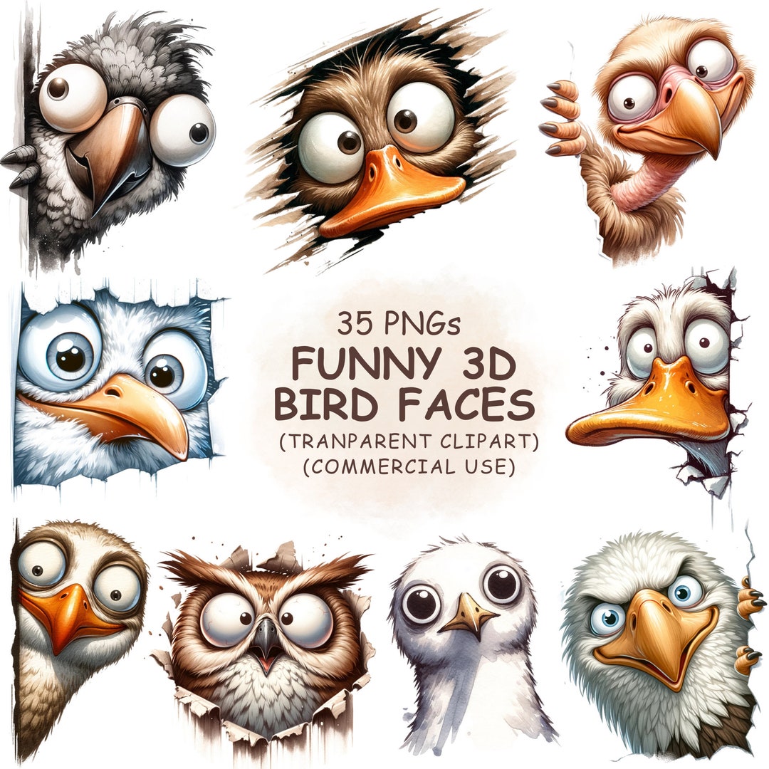 Watercolor Funny Bird Faces Clipart: 35 PNG Bundle (digital Download ...