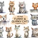 42 Cute and Funny Cats Clipart PNG Bundle- Watercolor Quirky Animals ...