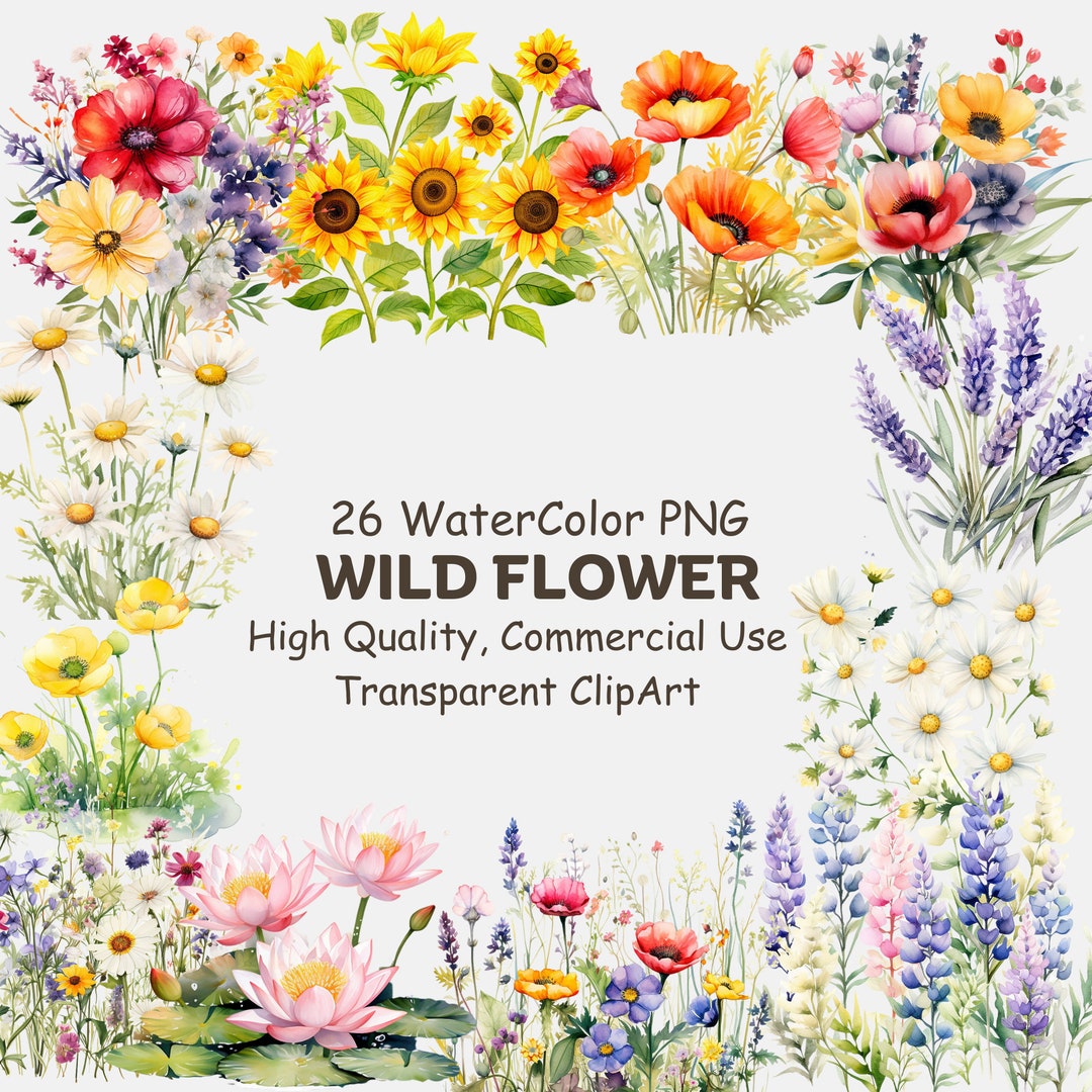 Watercolor Wildflower Clipart: 26 PNG Floral Bouquet Graphics (digital ...