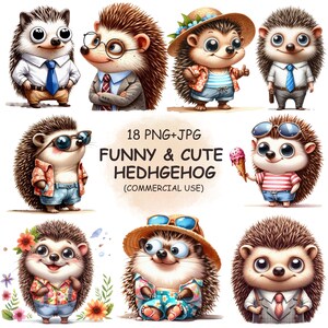 Cute Quirky & Funny Hedgehog Clipart PNG Bundle- 18 Watercolor Cute ...