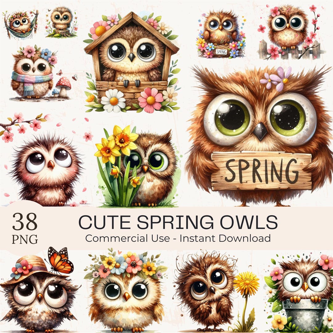 38 Spring Owls Clipart: Watercolor Floral Animal Bird PNG Bundle ...