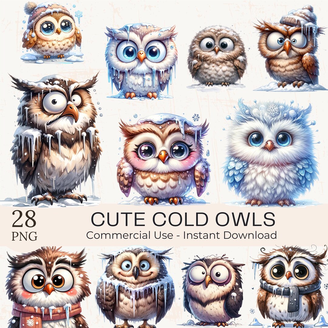 Watercolor Cold Owl Clipart PNG Bundle: Funny Winter Birds (digital ...