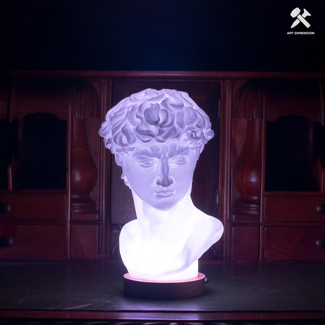 David by Michelangelo. LED Lamp - Etsy