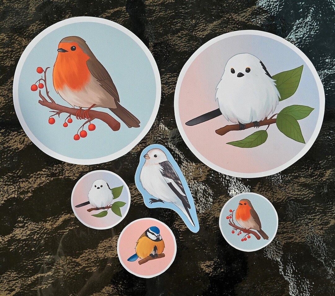 Birds Sticker Set - 6 Vinyl Stickers - Cute Illustrated Stickers - Etsy