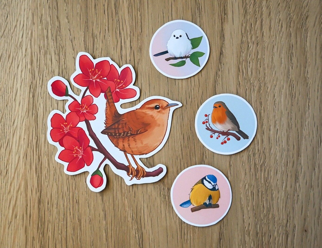 Bird Sticker Set - 4 Vinyl Stickers - Wren, Robin, Blue Tit and Long ...