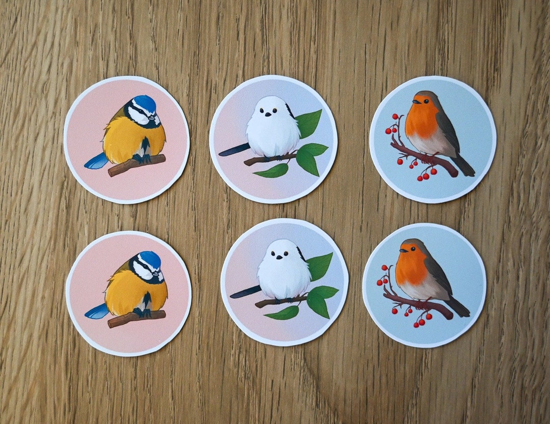 Cute Bird Stickers - 6 Vinyl Stickers - Small Sticker Set - Etsy