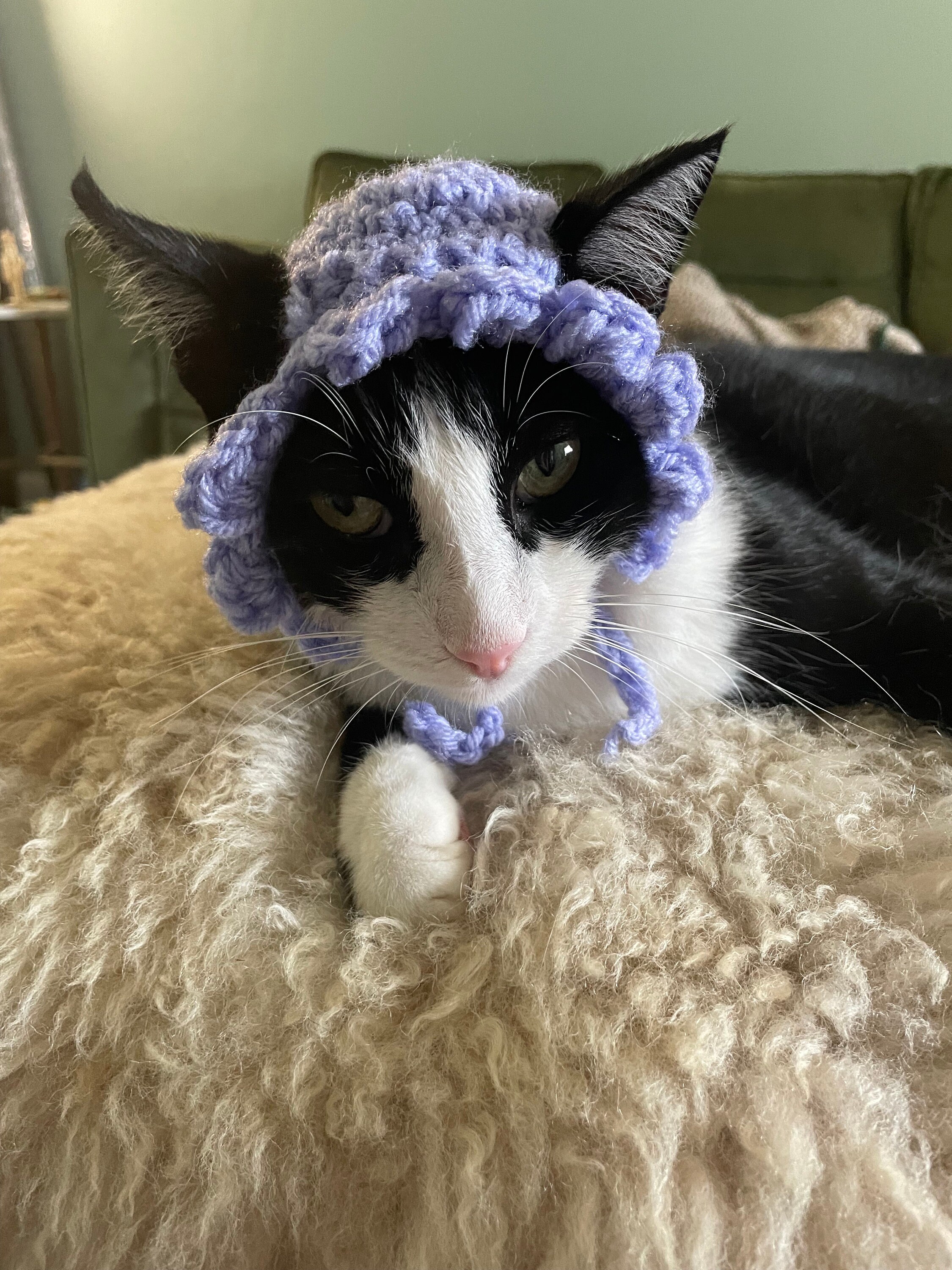 Crochet Cat Hat Cat Bonnet Cat Accessories Cat Clothes - Etsy