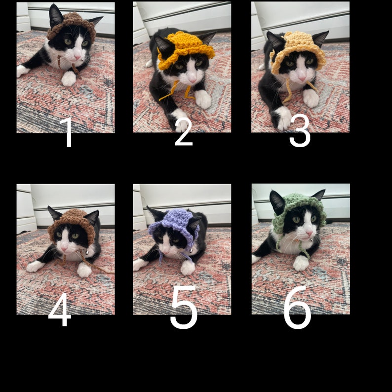 Crochet Cat Hat Cat Bonnet Cat Accessories Cat Clothes - Etsy