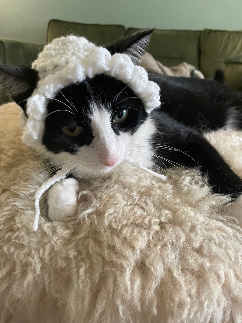 Crochet Cat Hat Cat Bonnet Cat Accessories Cat Clothes - Etsy