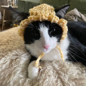 Crochet Cat Hat Cat Bonnet Cat Accessories Cat Clothes - Etsy