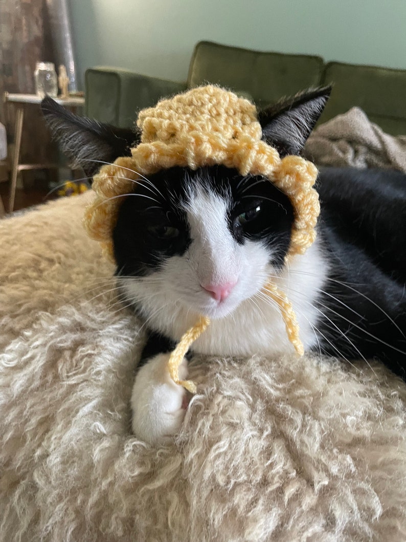Crochet Cat Hat Cat Bonnet Cat Accessories Cat Clothes - Etsy