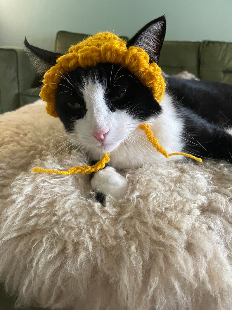 Crochet Cat Hat Cat Bonnet Cat Accessories Cat Clothes - Etsy