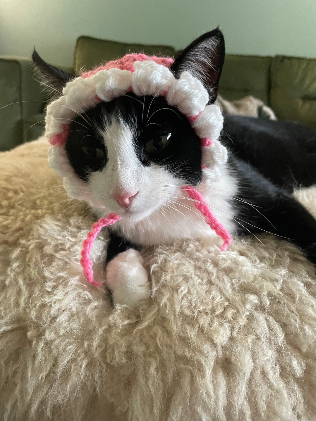 Crochet Cat Hat Cat Bonnet Cat Accessories Cat Clothes - Etsy